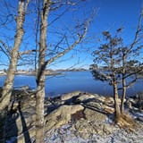 Little Harbor Loop Trail, New Hampshire - 461 Reviews, Map | AllTrails