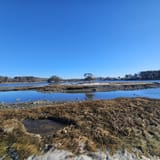 Little Harbor Loop Trail, New Hampshire - 461 Reviews, Map | AllTrails