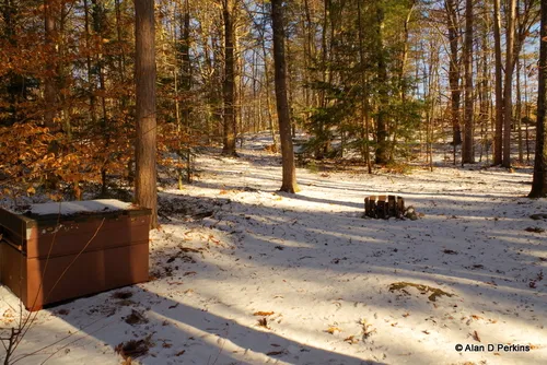 Best Hikes and Trails in Hammond Nature Preserve and Walker Forest ...