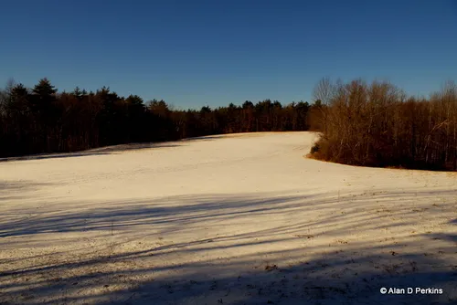 Best Hikes and Trails in Hammond Nature Preserve and Walker Forest ...