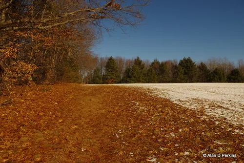 Best Hikes and Trails in Hammond Nature Preserve and Walker Forest ...