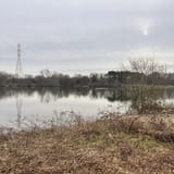 Ripley and Papercourt Lake Circular, Surrey, England - 178 Reviews, Map ...