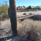 The Chuck Huckelberry Loop (aka Tucson Loop Trail), Arizona - 563 ...