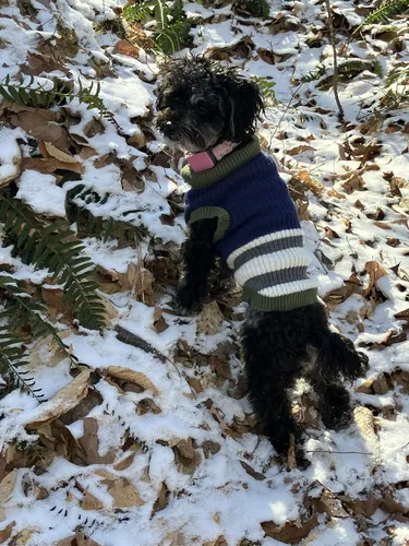 Best Bird Watching Trails in Paoli | AllTrails