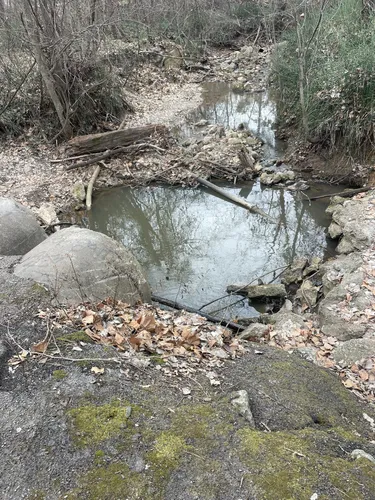 Best Hikes and Trails in Ray Harral Nature Park | AllTrails