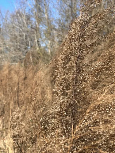 Best Hikes and Trails in Fleming Loop Recreational Park | AllTrails