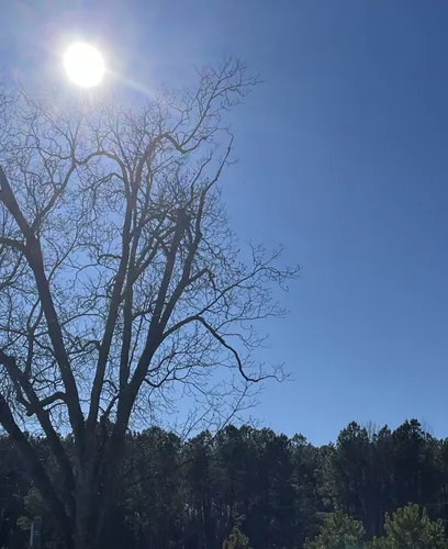 Best Hikes and Trails in Fleming Loop Recreational Park | AllTrails