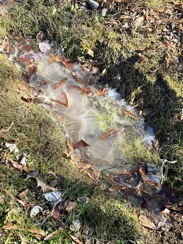 Best Hikes and Trails in Fleming Loop Recreational Park | AllTrails