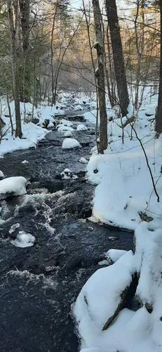 Best Hikes and Trails in Manchester Cedar Swamp Preserve | AllTrails