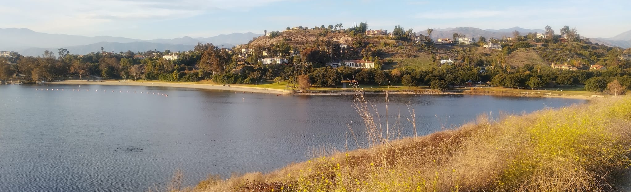 Puddingstone Reservoir Loop: 2.146 foto's - Californië | Wandelen ...