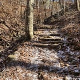 Tree Top Nature Trail, Alabama - 261 Reviews, Map | AllTrails