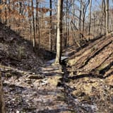 Tree Top Nature Trail, Alabama - 261 Reviews, Map | AllTrails