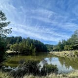 Bon Tempe Lake Loop, California - 1,853 Reviews, Map | AllTrails