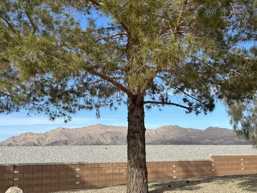 Best Hikes and Trails in Aliante Nature Discovery Park | AllTrails