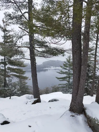 Best Hikes and Trails in Wellington State Park | AllTrails