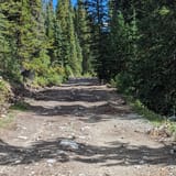 Spruce Creek Loop, Colorado - 1,558 Reviews, Map | AllTrails