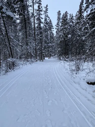 Best Beach Trails in Red Deer | AllTrails