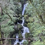 Cataract Falls Trail, California - 3,324 Reviews, Map | AllTrails