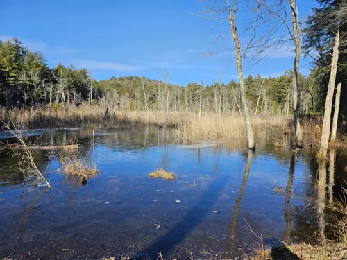 Best Hikes and Trails in Nipmuck State Forest | AllTrails