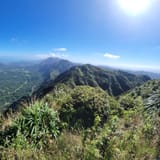Moanalua Valley and Tripler Ridge Trail Loop, Oahu, Hawaii - 191 ...