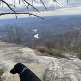 Table Rock Trail, South Carolina - 3,869 Reviews, Map | AllTrails