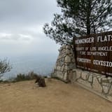 Henninger Flats Trail, California - 2,614 Reviews, Map | AllTrails