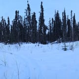 Salcha Trail, Alaska - 3 Reviews, Map | AllTrails