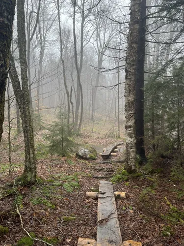 Best Hikes and Trails in Coolidge State Park | AllTrails