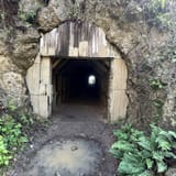 Partington Cove Trail, California - 1,582 Reviews, Map | AllTrails
