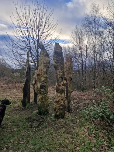 Best Hikes and Trails in Avenham Park | AllTrails