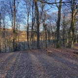 The Royal Oak, Marlow Common, and Homefield Wood Circular ...