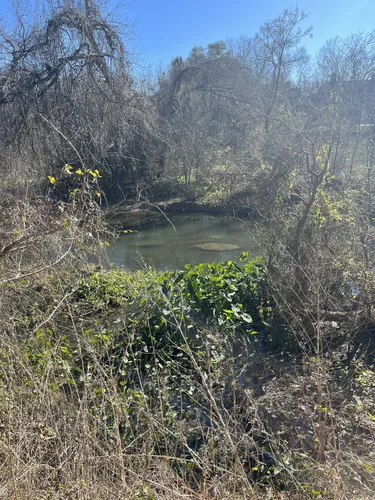 Best City Walk Trails in Round Rock | AllTrails