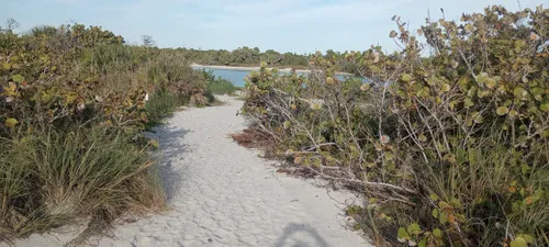 Best Hikes and Trails in Stump Pass Beach State Park | AllTrails