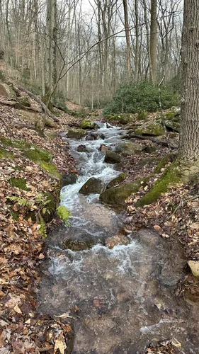 Best Kid Friendly Trails in State Game Lands Number 156 | AllTrails