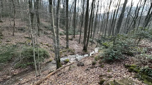 Best Kid Friendly Trails in State Game Lands Number 156 | AllTrails