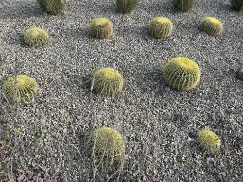 Best Hikes and Trails in Aliante Nature Discovery Park | AllTrails