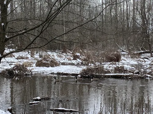 Best Hikes and Trails in Brecknock County Park | AllTrails