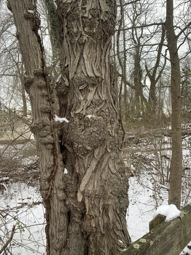 Best Hikes and Trails in Brecknock County Park | AllTrails