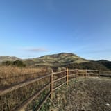 East Walker Loop, California - 512 Reviews, Map | AllTrails
