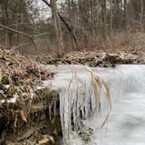 Morgan Conservation Park Primary Loop, Kentucky - 209 Reviews, Map ...