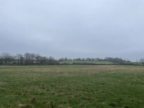 Best Hikes and Trails in Baddesley Common and Emer Bog Nature Reserve ...