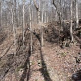 Buffalo Trace Trails (Trail 2), Indiana - 577 Reviews, Map | AllTrails