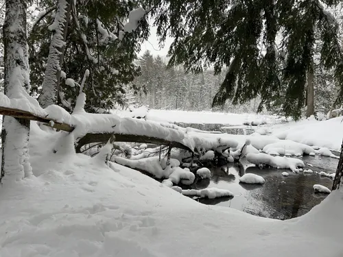 Best Hikes and Trails in Ransom Lake Natural Area | AllTrails
