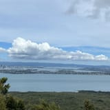 Rangitoto Island Summit Track, Auckland, New Zealand - 255 Reviews, Map ...