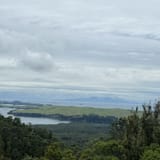 Rangitoto Island Summit Track, Auckland, New Zealand - 255 Reviews, Map ...