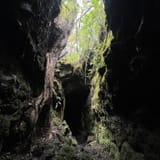 Rangitoto Island Summit Track, Auckland, New Zealand - 255 Reviews, Map ...