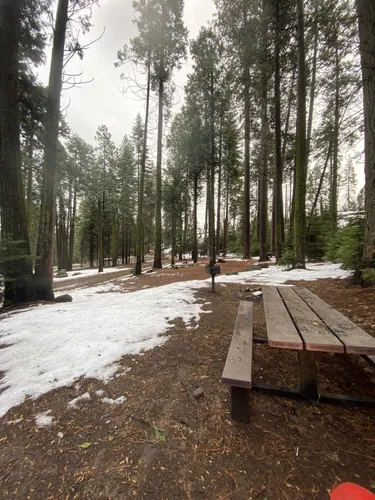 Best Off Road Driving Trails in Oakhurst | AllTrails