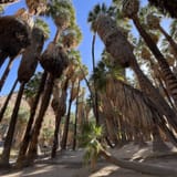 Victor Loop, California - 1,367 Reviews, Map | AllTrails