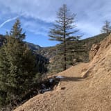 Columbine Trail, Colorado - 1,896 Reviews, Map | AllTrails