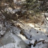 Columbine Trail, Colorado - 1,896 Reviews, Map | AllTrails